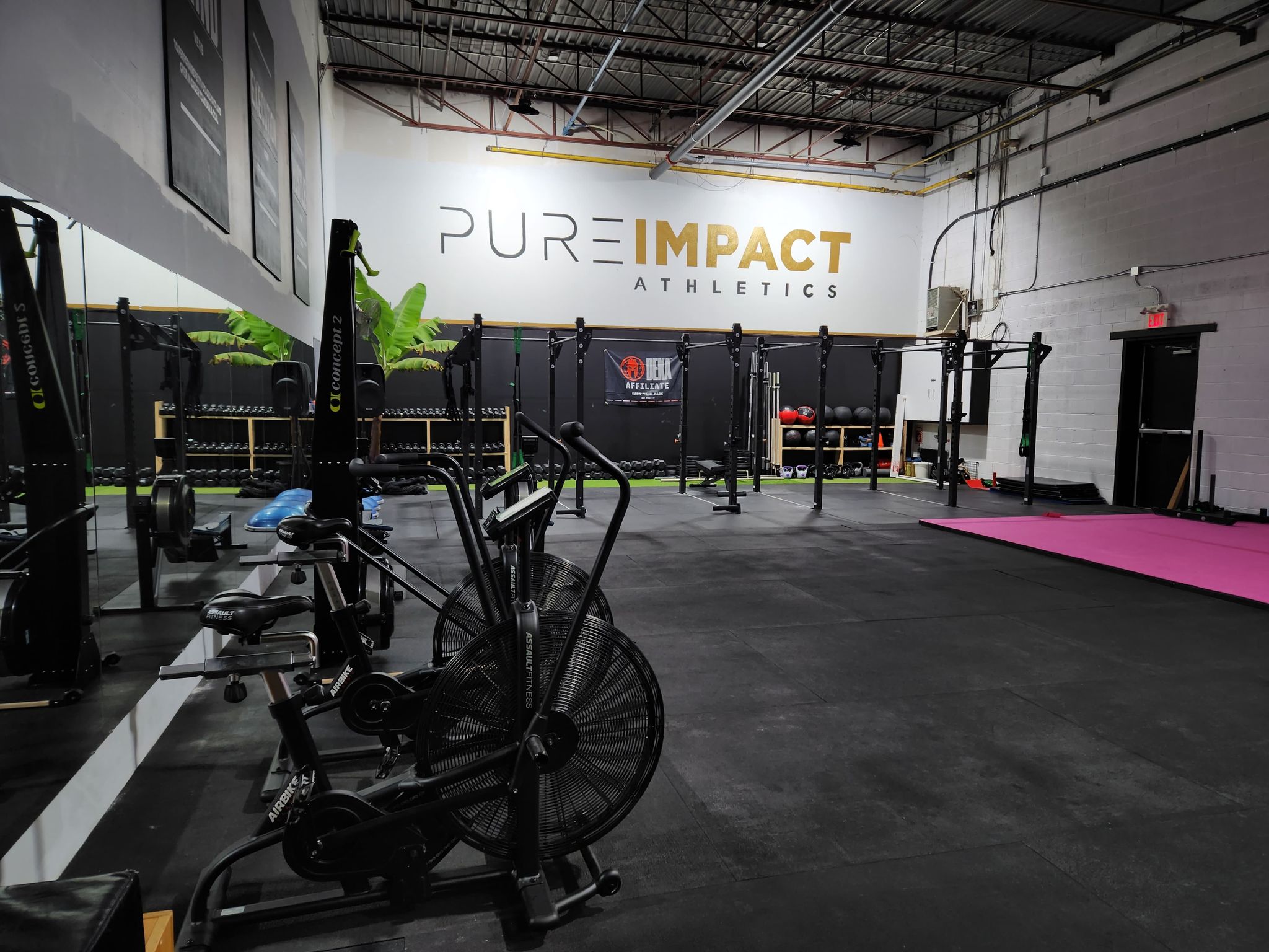 About Us | Pure Impact Fitness